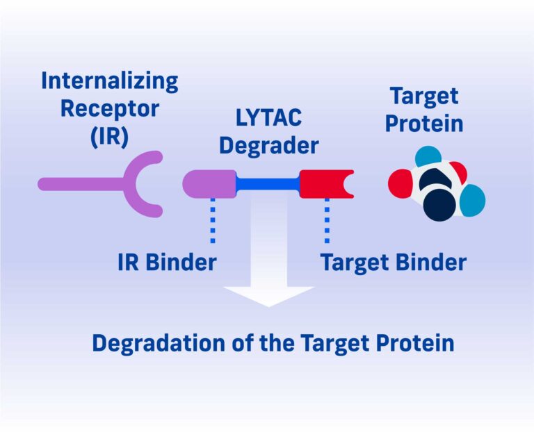LYTAC Platform - Lycia Therapeutics